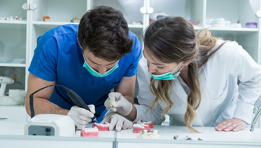 Top 15 Ultimate Best Dental Schools in Florida To Attend Today